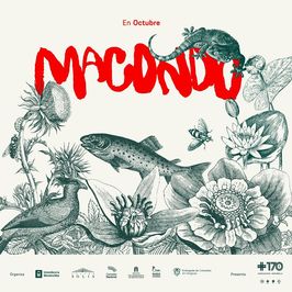 Macondo - Cartelera